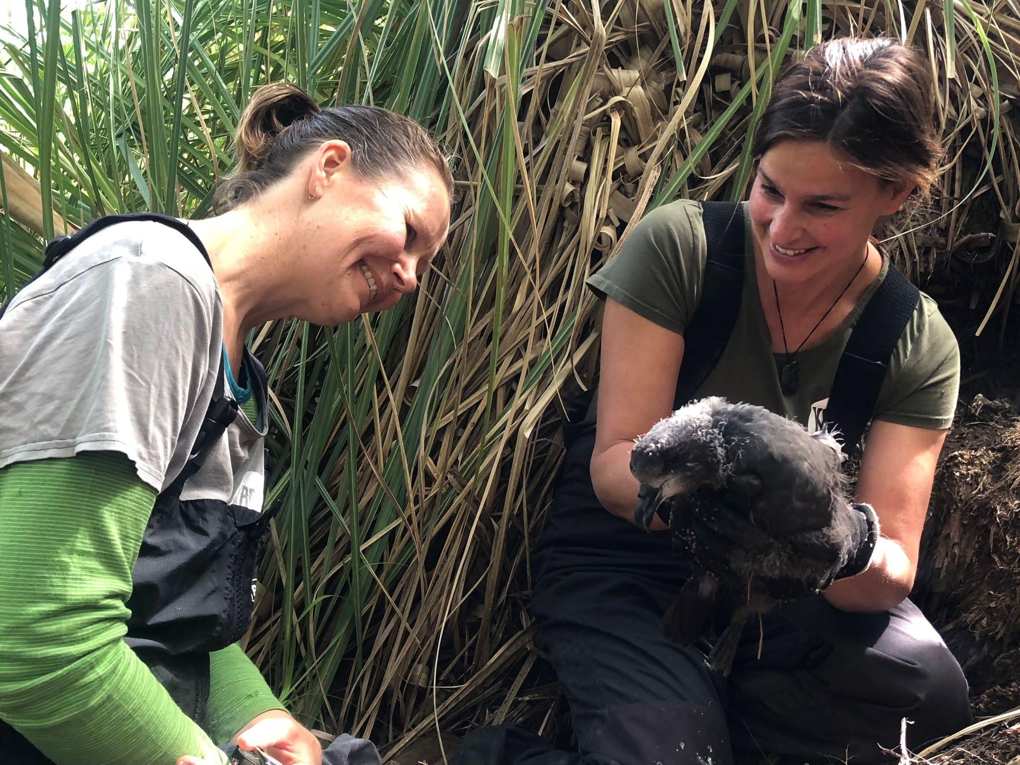 Ā MĀTOU MAHI | Our Work - A Rocha Aotearoa New Zealand