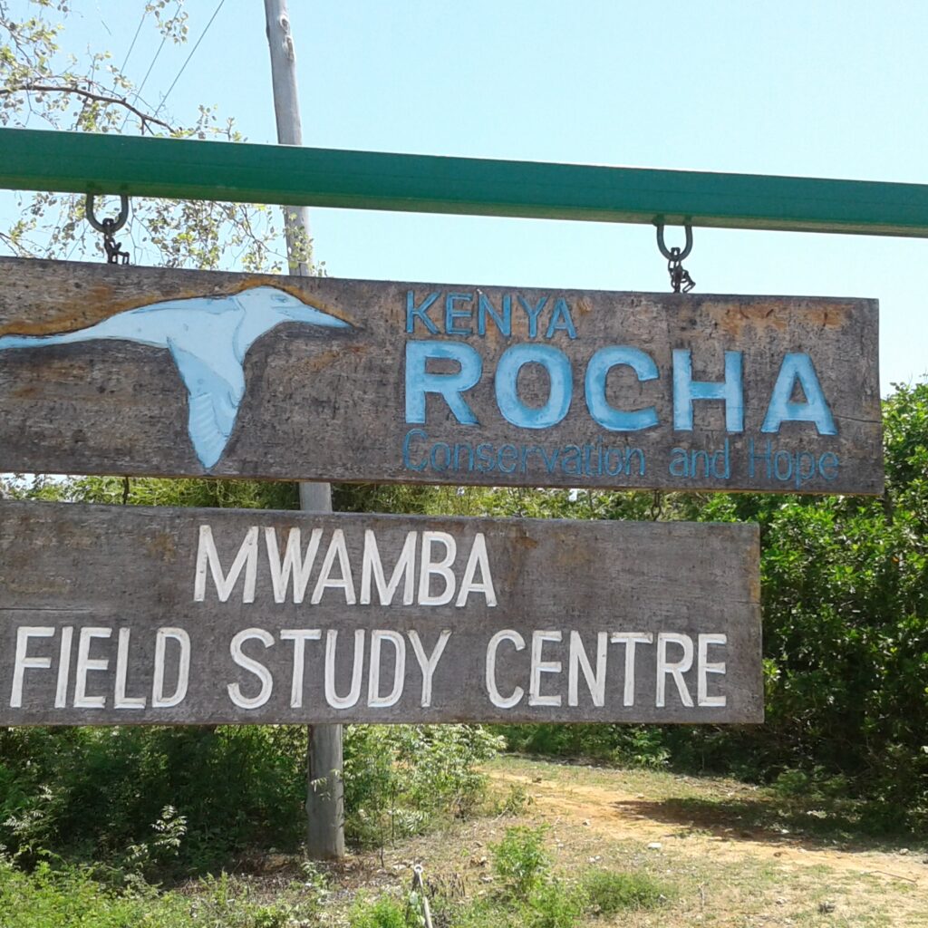 A visit to A Rocha Kenya - A Rocha Aotearoa New Zealand