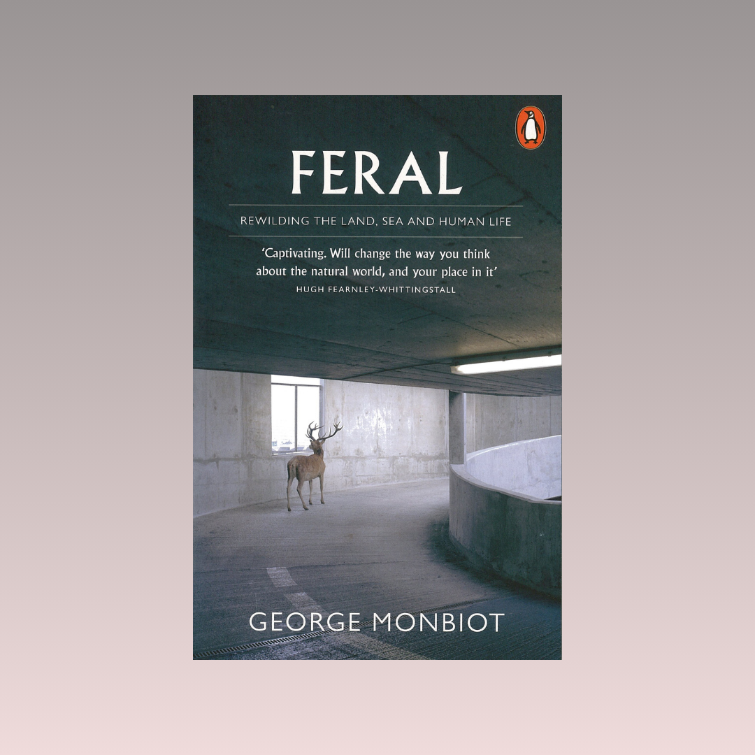 Book Review - Feral: Rewilding the Land, Sea and Human Life - A Rocha ...