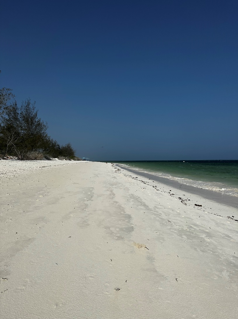 Reflections on a visit to A Rocha Kenya - A Rocha Aotearoa New Zealand