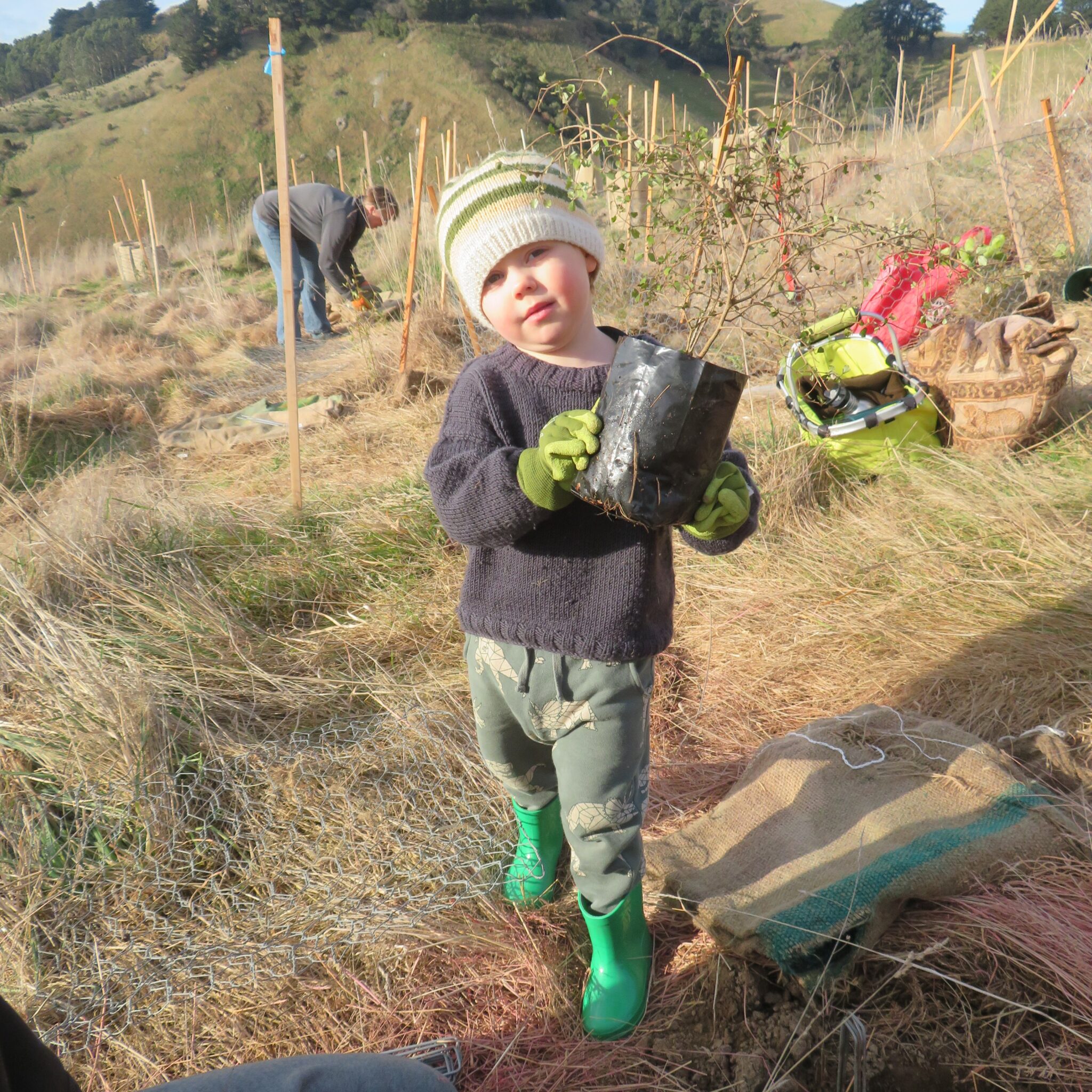 Planting with Save the Otago Peninsula (STOP) - A Rocha Aotearoa New ...